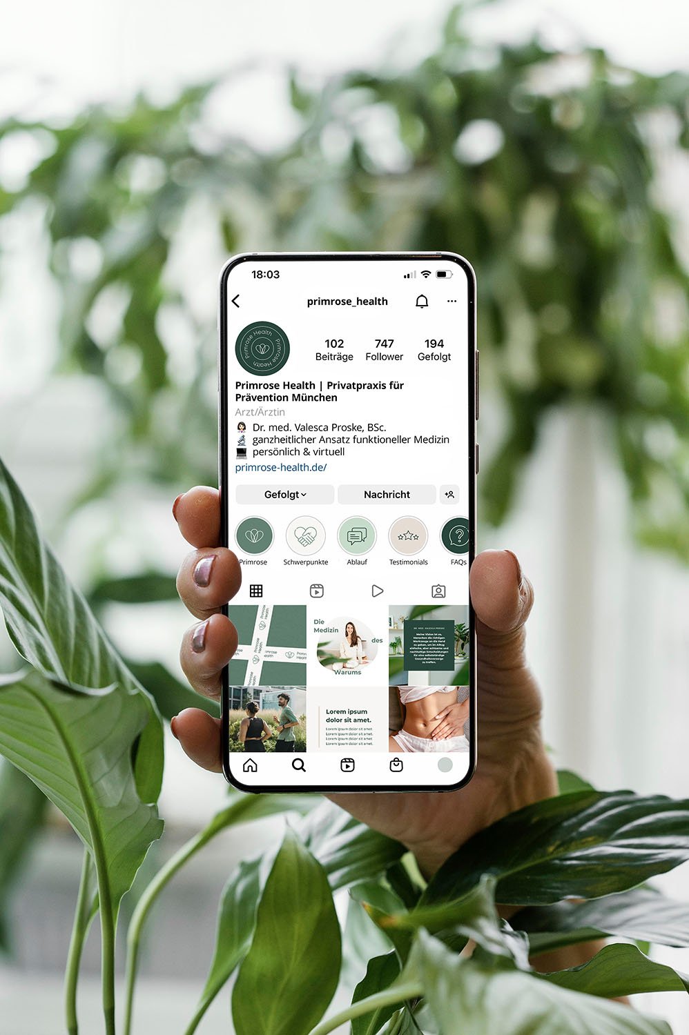 Vikam Media | Primrose Health